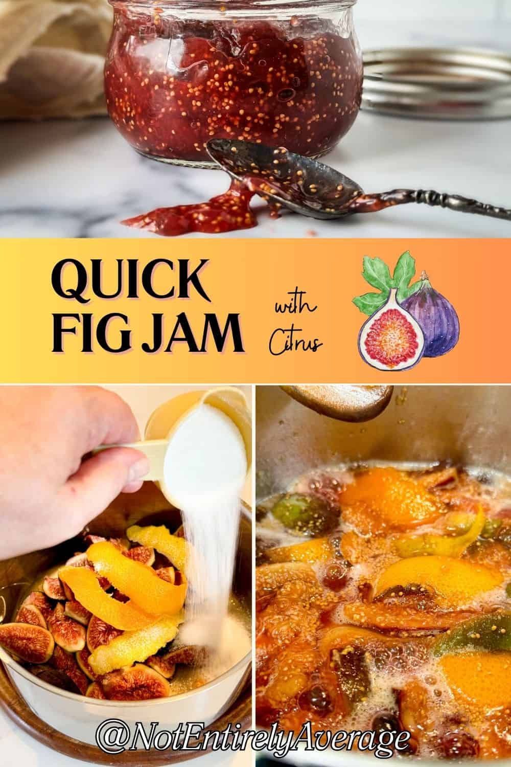 Simple and Delicious Fig Jam Recipe » Not Entirely Average